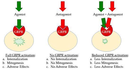 Cancers | Free Full-Text | Radiolabeled Bombesin Analogs