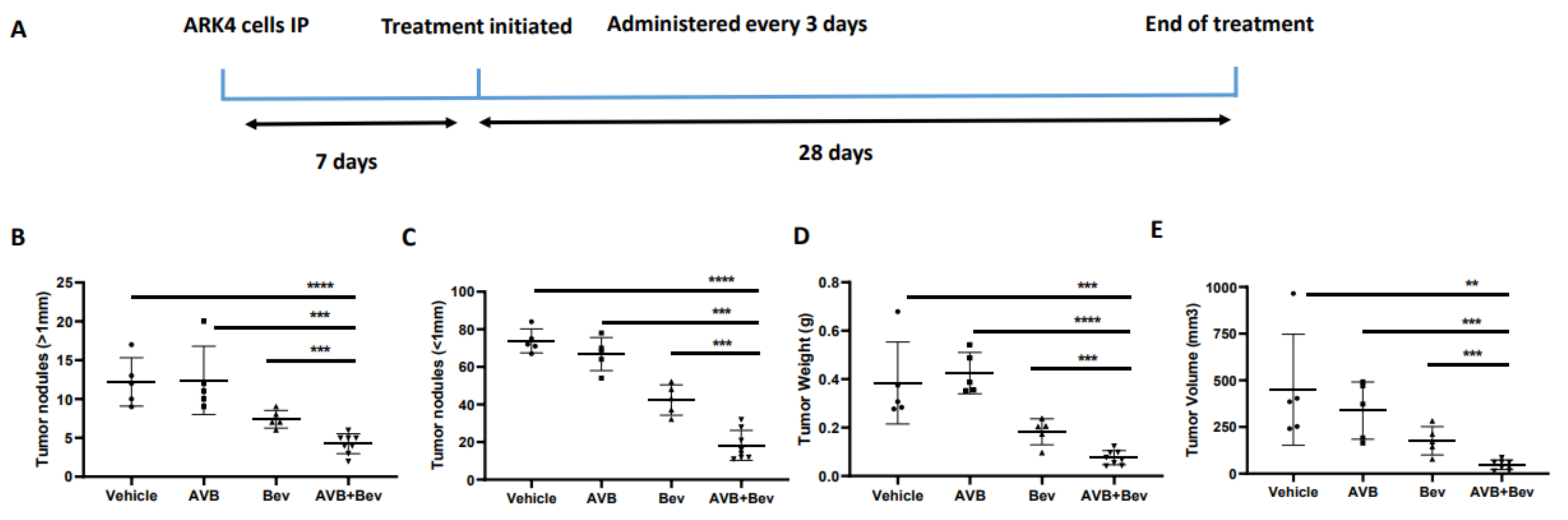 Cancers Free Full Text Inhibition Of Axl And Vegf A Has Improved
