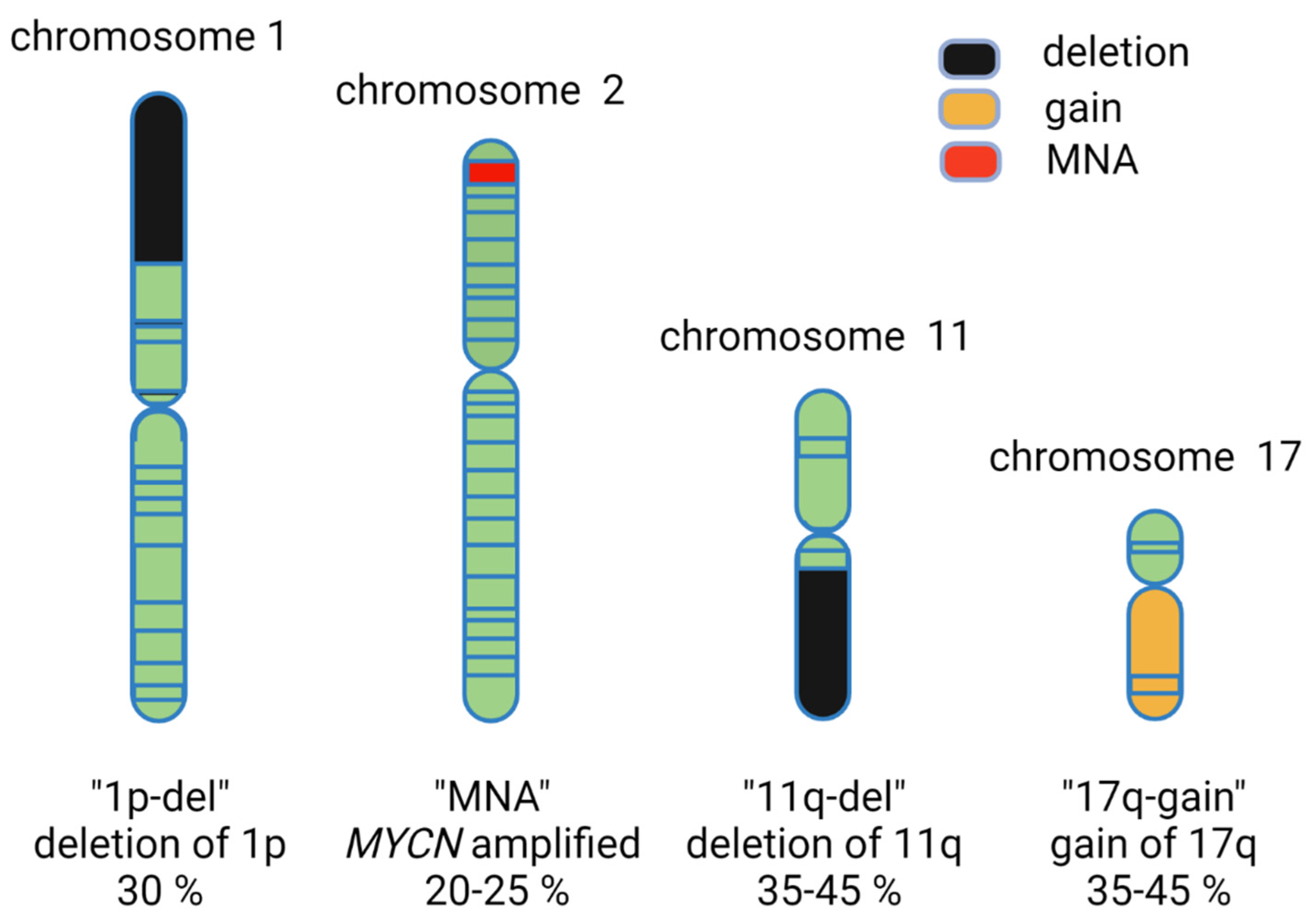 Chromosome Deletion