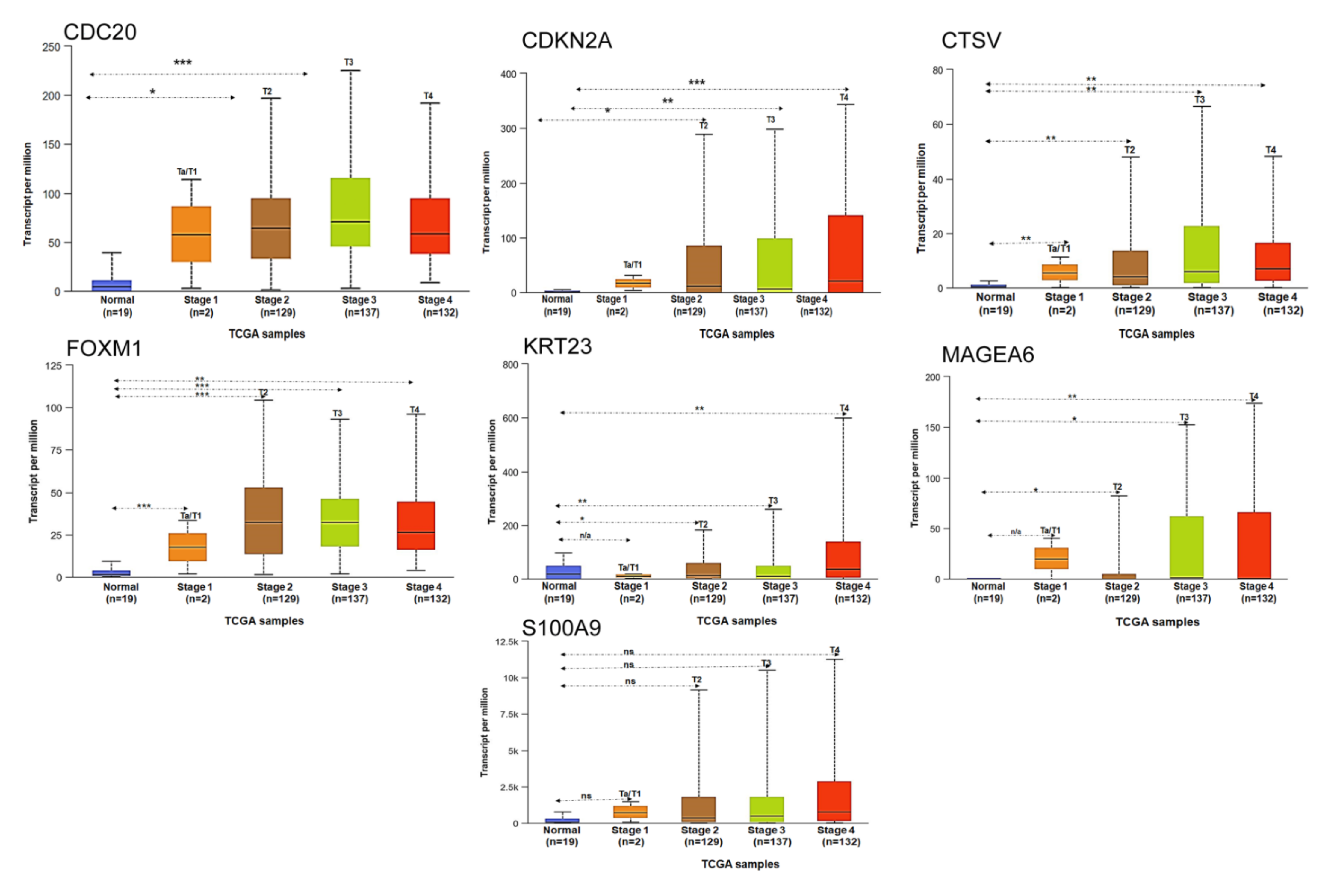 Identification of Key Genes Associated with Progression and Prognosis of Bladder Cancer through ...