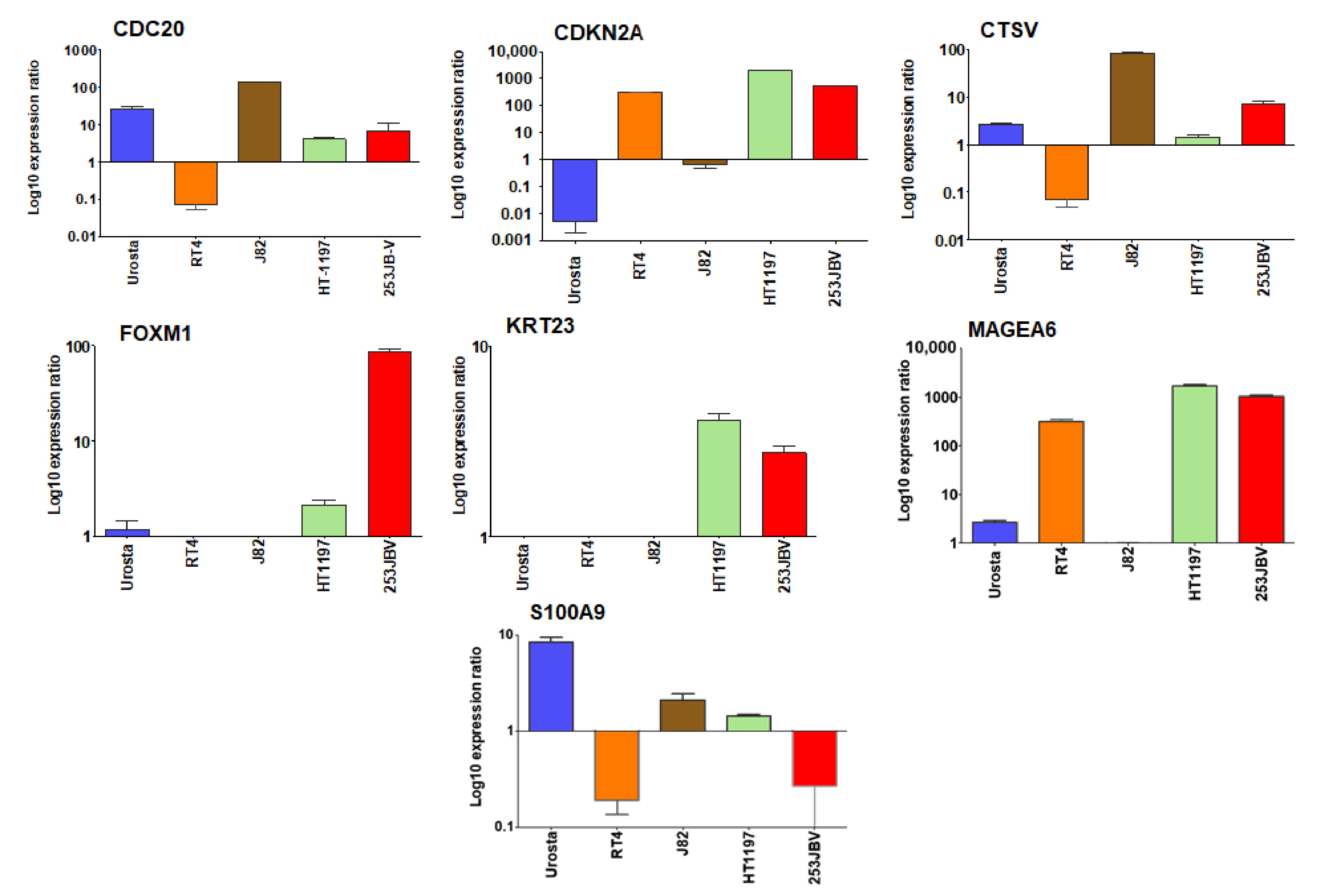 Identification of Key Genes Associated with Progression and Prognosis of Bladder Cancer through ...