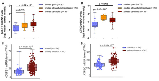 Proteomic Analysis Identifies NDUFS1 and ATP5O as Novel Markers for ...