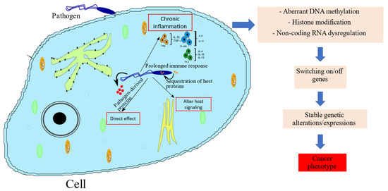 Pathogen-Induced Epigenetic Modifications in Cancers: Implications for ...