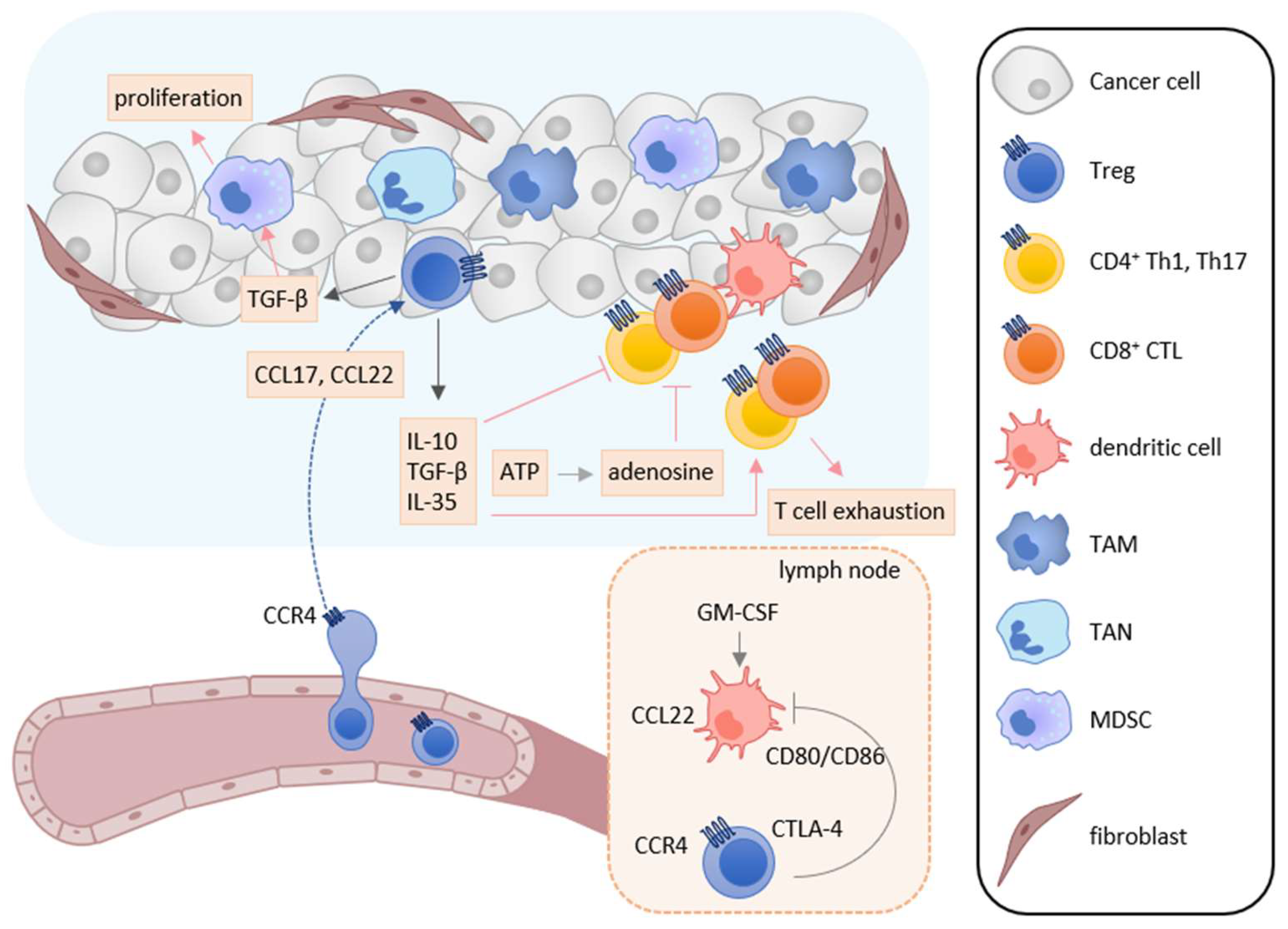 Cancers Free Full Text Multifaceted Roles Of Chemokines And