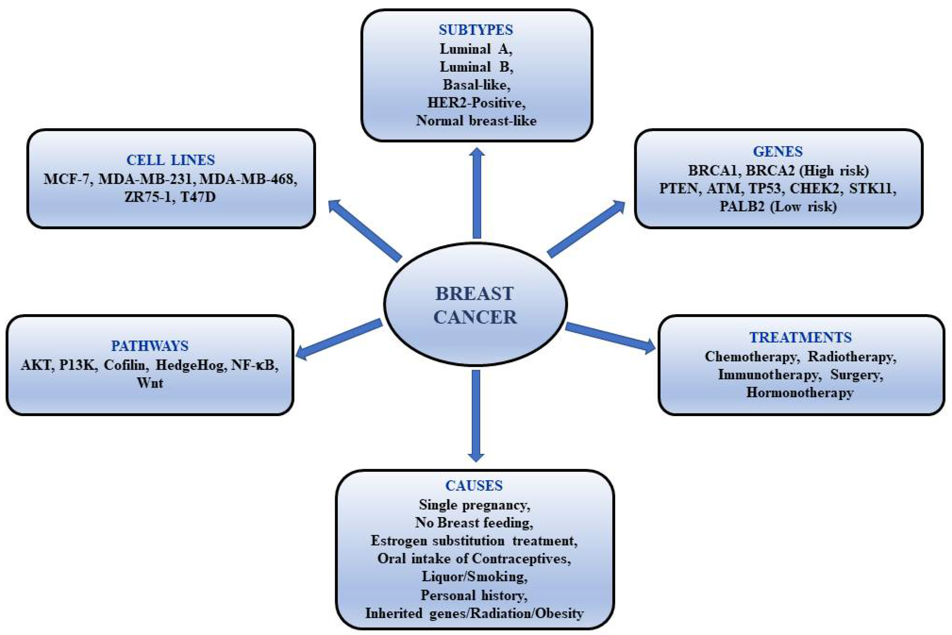 Cancers Free Full Text Plant Derived Bioactive Compounds Their