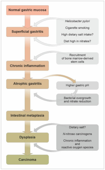 Advances in the Aetiology & Endoscopic Detection and Management of ...