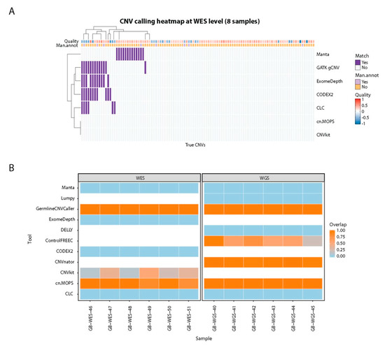 A Comparison of Tools for Copy-Number Variation Detection in Germline ...