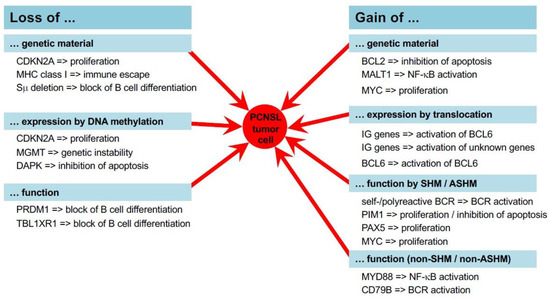 Cancers | Free Full-Text | Impact of a Faulty Germinal Center Reaction ...