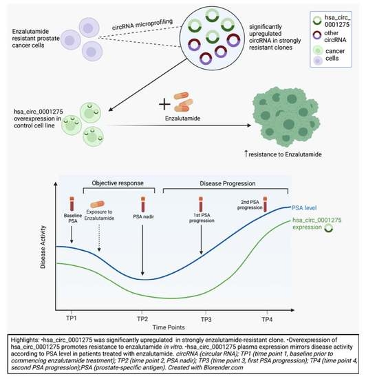 Cancers | Special Issue : Circular RNAs: New Insights into the ...