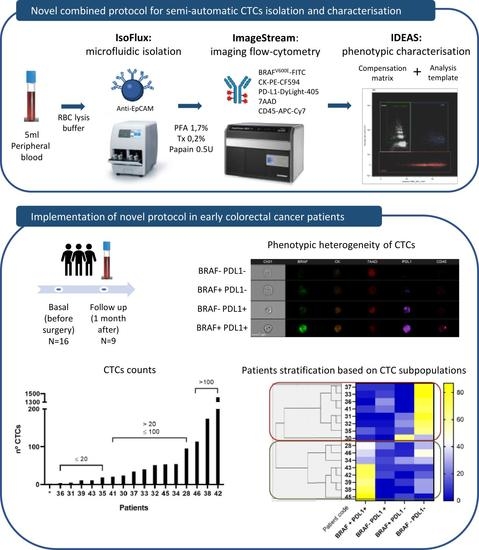 Cancers | Free Full-Text | Deep Phenotypic Characterisation of CTCs by ...