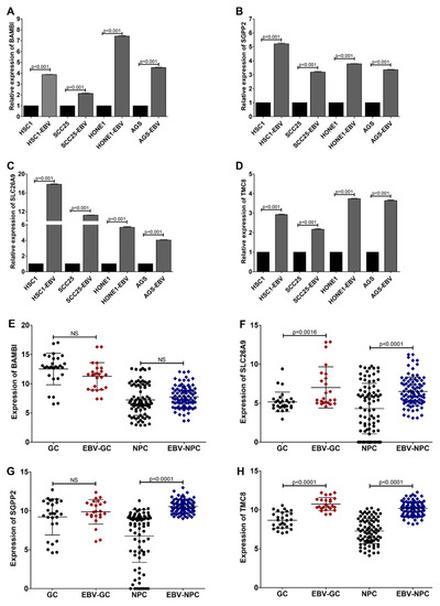 General Features and Novel Gene Signatures That Identify Epstein-Barr ...