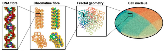 Cancers | Free Full-Text | Review of the Geant4-DNA Simulation Toolkit for Radiobiological ...