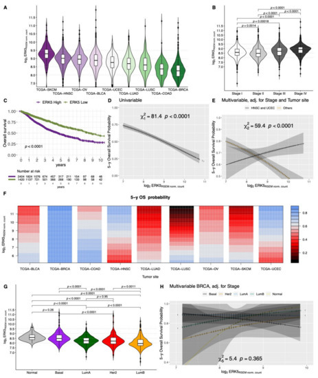 Clinical Significance and Regulation of ERK5 Expression and Function in ...