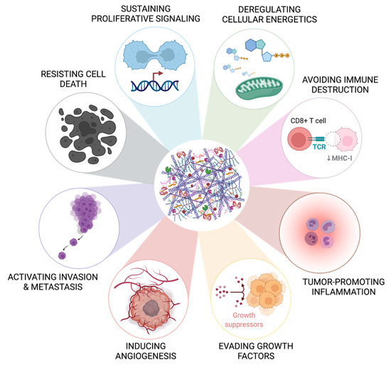 Cancers | Free Full-Text | Decellularized Colorectal Cancer Matrices as ...