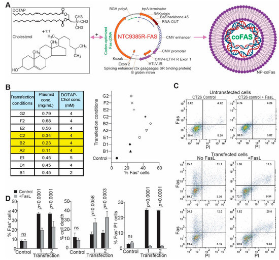 Restoring FAS Expression via Lipid-Encapsulated FAS DNA Nanoparticle ...