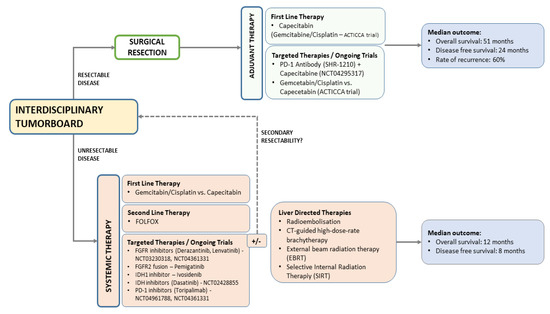 Cancers | Free Full-Text | Treatment of Intrahepatic Cholangiocarcinoma—A Multidisciplinary Approach