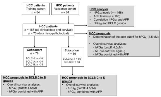 Plasma hPG80 (Circulating Progastrin) as a Novel Prognostic Biomarker ...