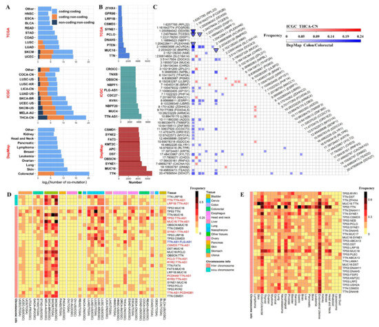 Comprehensive Analysis of Co-Mutations Identifies Cooperating ...