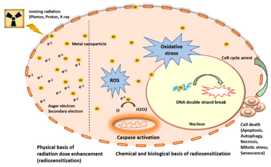 Therapeutic Advancements in Metal and Metal Oxide Nanoparticle-Based ...