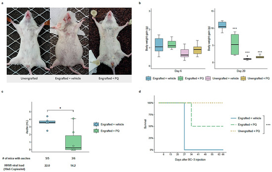 Primaquine as a Candidate for HHV-8-Associated Primary Effusion Lymphoma and Kaposi’s Sarcoma ...