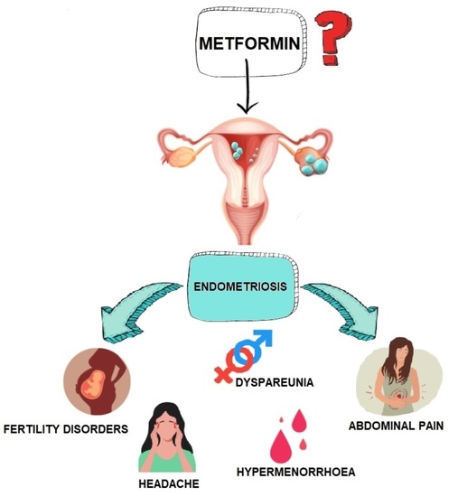 Cancers | Free Full-Text | Metformin as a Potential Treatment Option ...