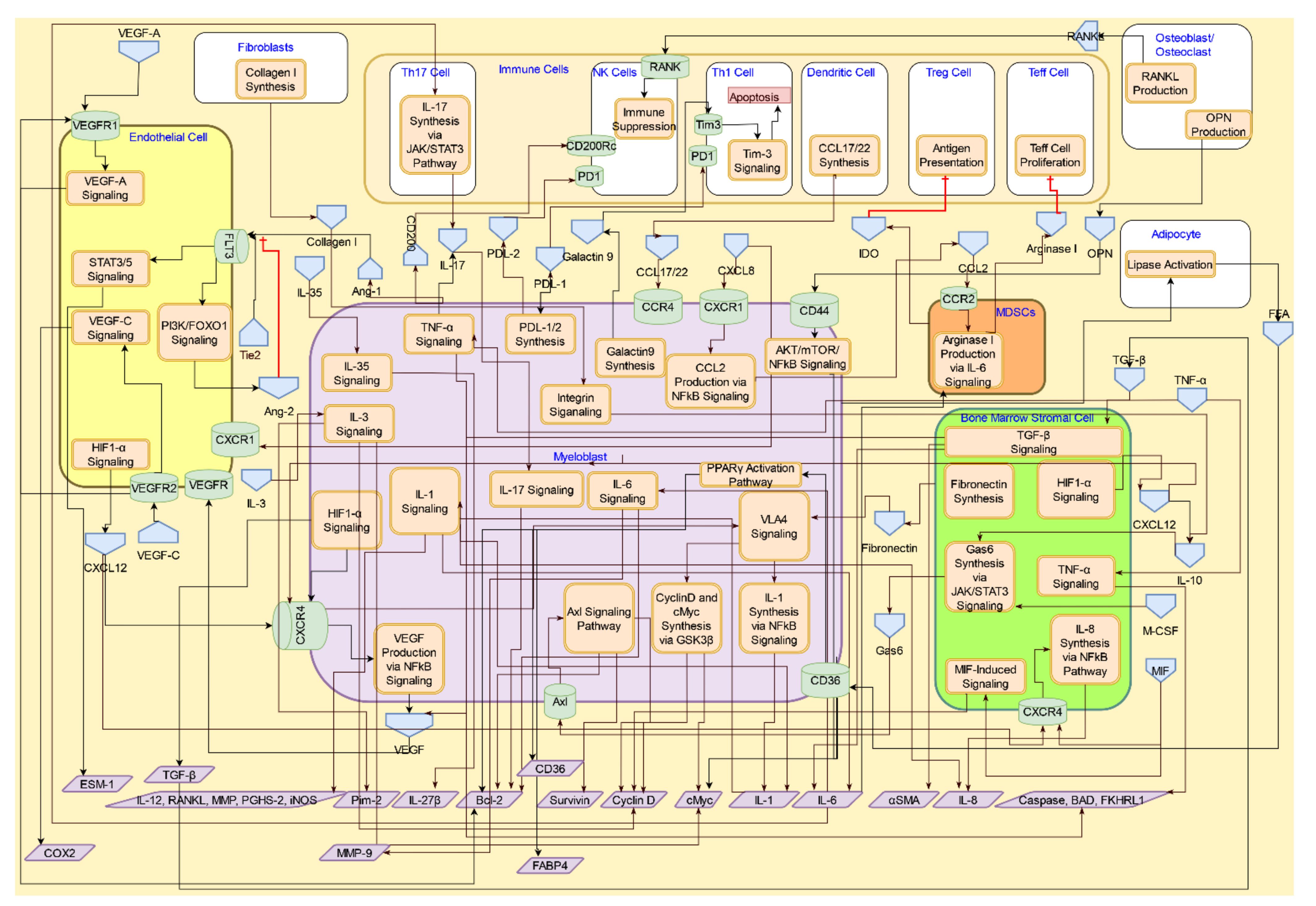 Cancers | Free Full-Text | Molecular Systems Architecture of ...