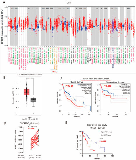 HPRT1 Promotes Chemoresistance in Oral Squamous Cell Carcinoma via ...