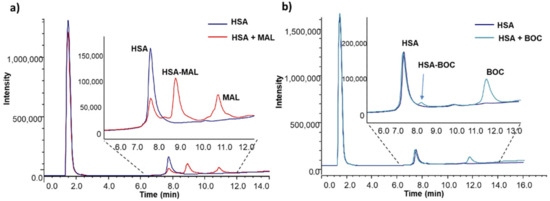 Cancers | Free Full-Text | HSA-Binding Prodrugs-Based Nanoparticles ...