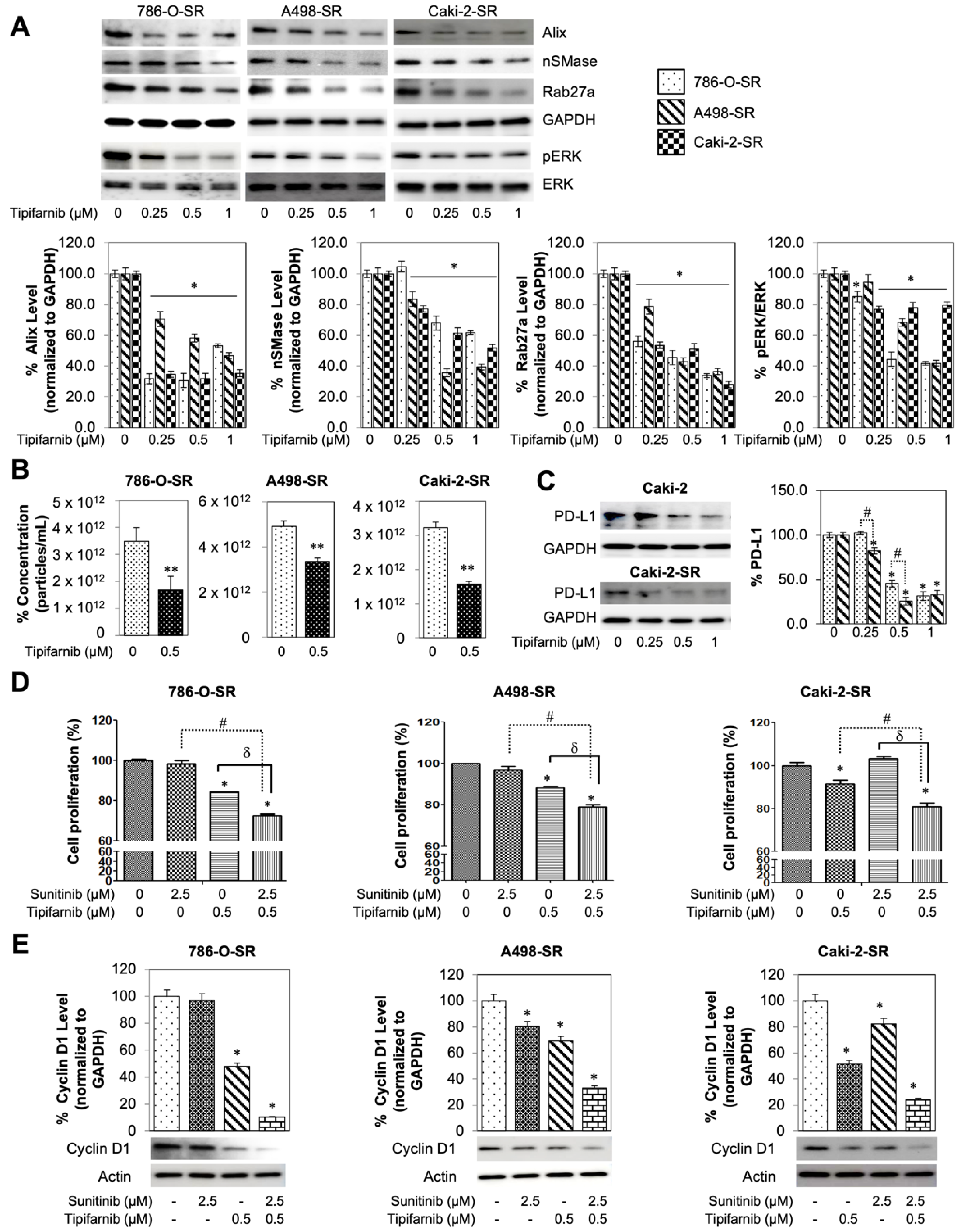 Cancers | Free Full-Text | Combination of Tipifarnib and Sunitinib ...