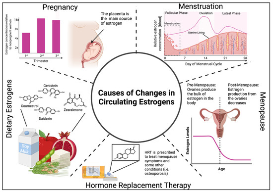 The Impact of Estrogens and Their Receptors on Immunity and ...