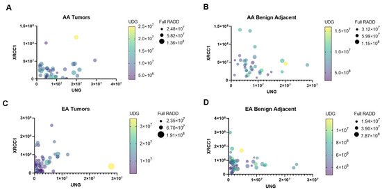 Repair-Assisted Damage Detection Reveals Biological Disparities in ...