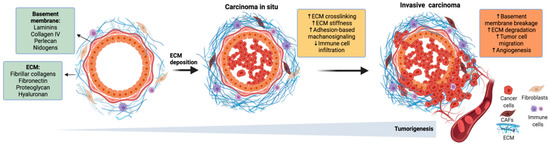 Transcriptional Factor Repertoire of Breast Cancer in 3D Cell Culture ...