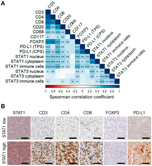 STAT1 and STAT3 Exhibit a Crosstalk and Are Associated with Increased ...