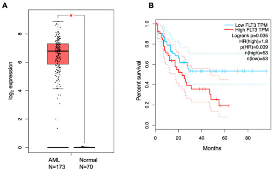 Role of Biomarkers in FLT3 AML