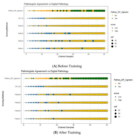 Comparison of Immune Response Assessment in Colon Cancer by Immunoscore ...