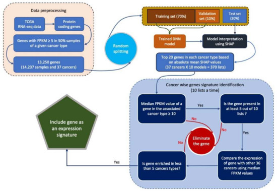 Deep Learning-Based Pan-Cancer Classification Model Reveals Tissue-of ...