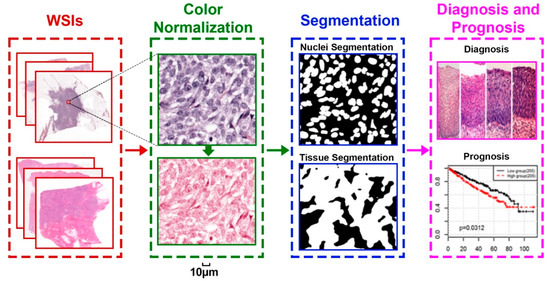 Cancers Free Full Text Recent Advances Of Deep Learning For