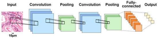 Recent Advances of Deep Learning for Computational Histopathology: Principles and Applications
