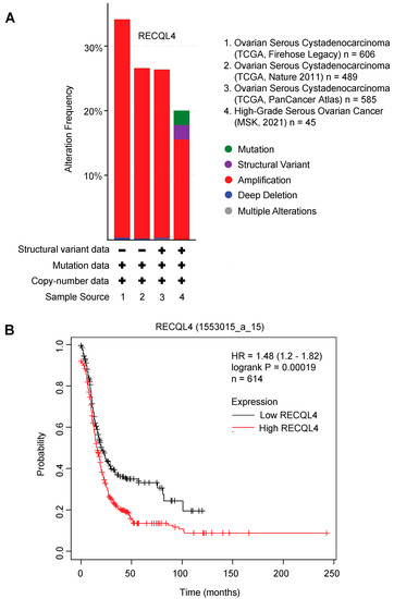 Targeting of RecQ Helicases as a Novel Therapeutic Strategy for Ovarian ...