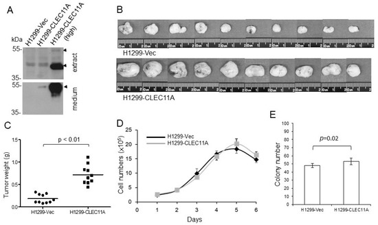 EGFR Mutation-Harboring Lung Cancer Cells Produce CLEC11A with ...