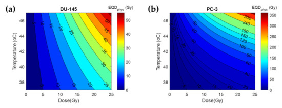 A Novel Framework for the Optimization of Simultaneous ThermoBrachyTherapy