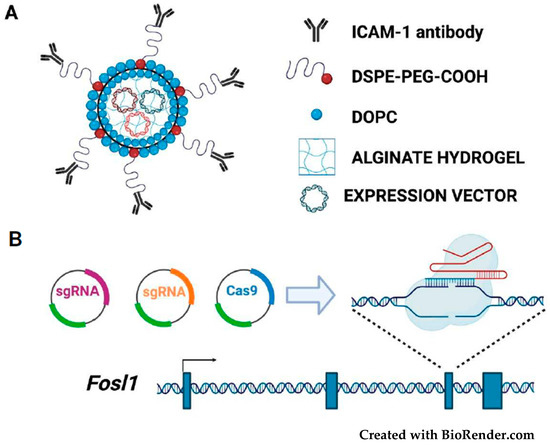 The Fra-1/AP-1 Oncoprotein: From the “Undruggable” Transcription Factor ...