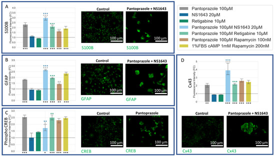 Ion Channel Drugs Suppress Cancer Phenotype in NG108-15 and U87 Cells ...