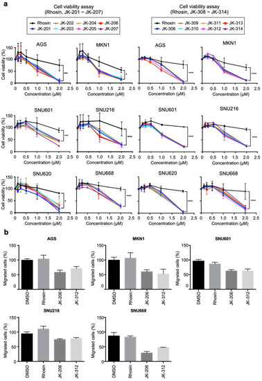 Second-Generation JK-206 Targets the Oncogenic Signal Mediator RHOA in ...