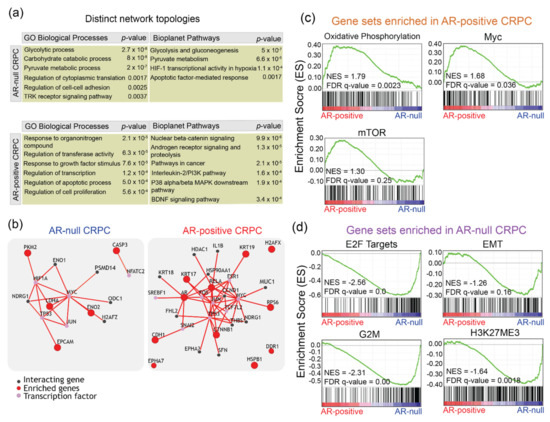 Proteomic and Transcriptomic Profiling Reveals Mitochondrial Oxidative ...