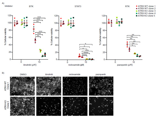 ATRX-Deficient High-Grade Glioma Cells Exhibit Increased Sensitivity to ...