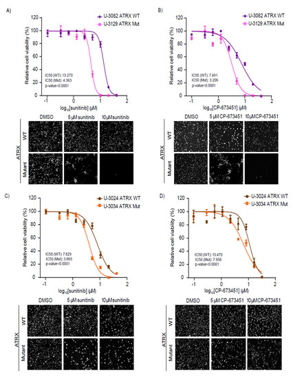 ATRX-Deficient High-Grade Glioma Cells Exhibit Increased Sensitivity to ...