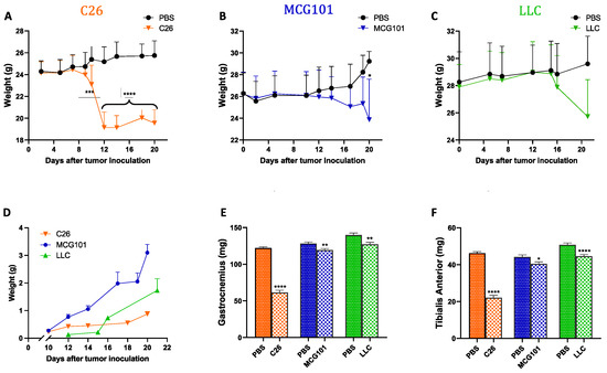 Apelin Resistance Contributes to Muscle Loss during Cancer Cachexia in Mice