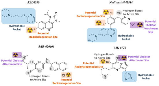 Cancers | An Open Access Journal from MDPI