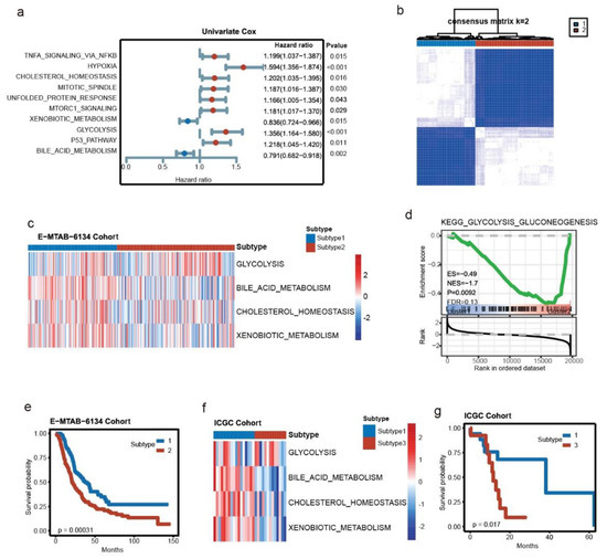 Cancers | An Open Access Journal from MDPI